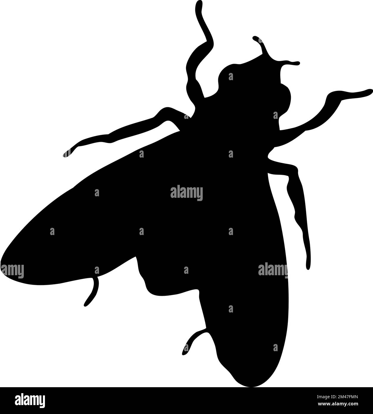 Silhouette of fly. Fly close-up detailed. Vector fly icon on white ...
