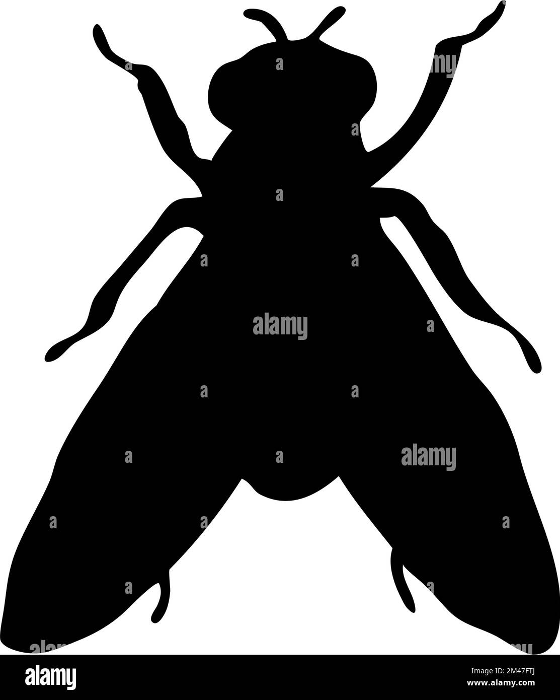 Silhouette of fly. Fly close-up detailed. Vector fly icon on white ...