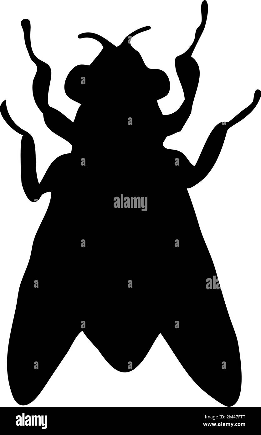 Silhouette of fly. Fly close-up detailed. Vector fly icon on white ...