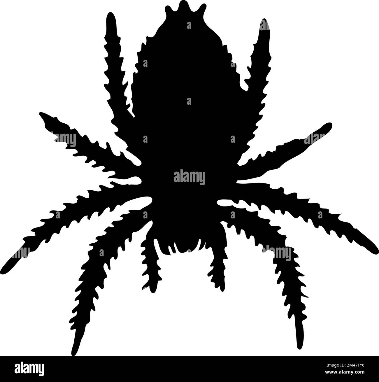 Silhouette of spider. Spider close-up detailed. Vector spider icon on ...