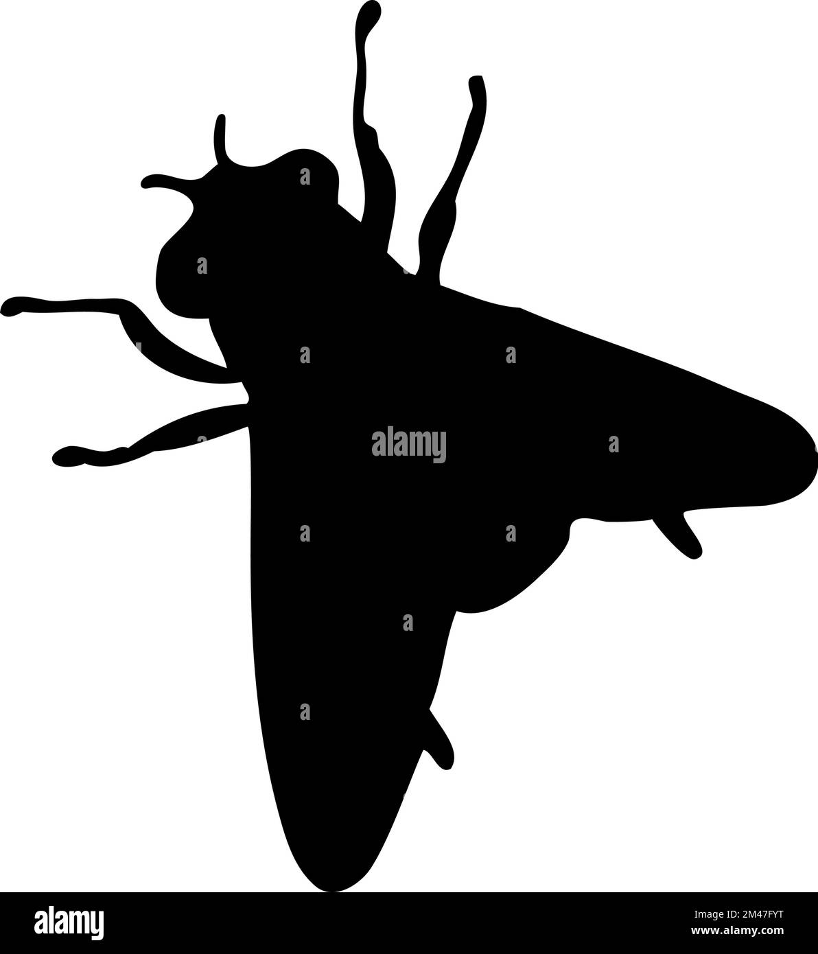 Silhouette of fly. Fly close-up detailed. Vector fly icon on white ...