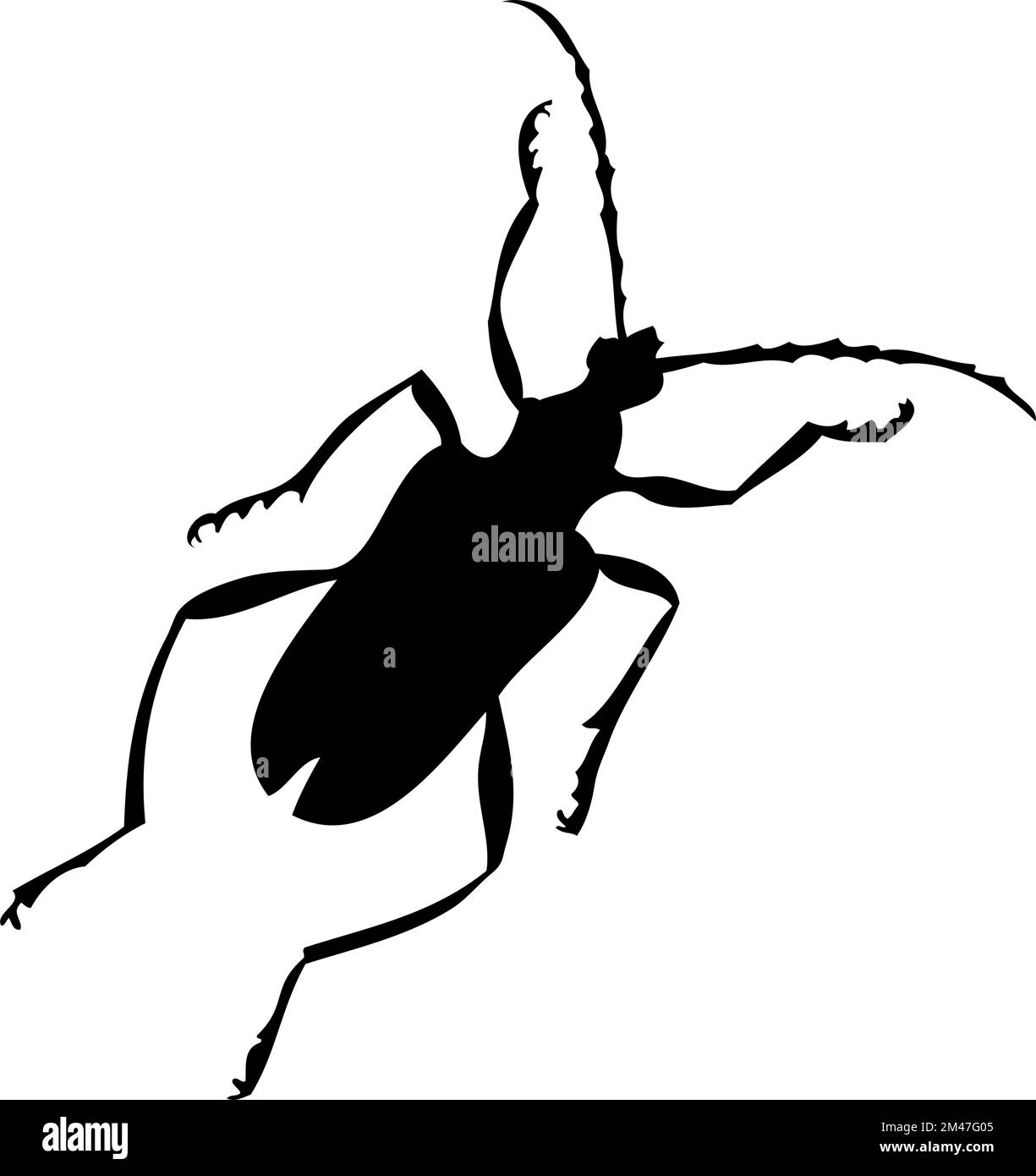 Silhouette of beetle. Beetle close-up detailed. Vector beetle icon on ...