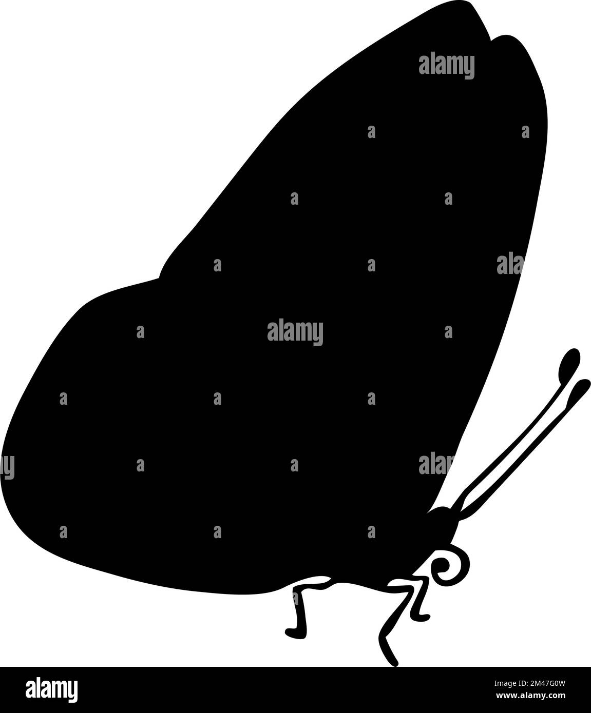 Silhouette of butterfly. Butterfly close-up detailed. Vector butterfly ...