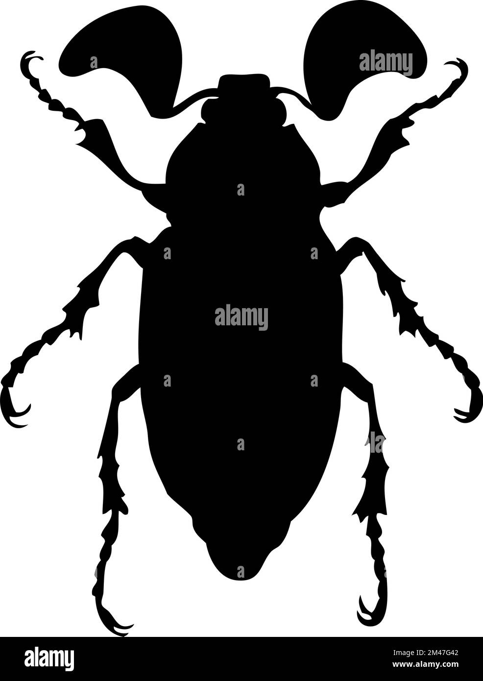 Silhouette of beetle. Beetle close-up detailed. Vector beetle icon on ...