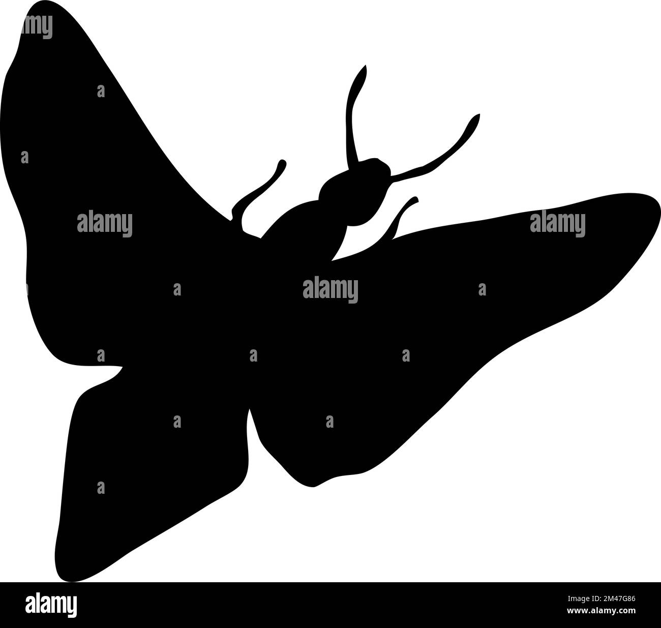 Silhouette of moth. Moth close-up detailed. Vector moth icon on white ...
