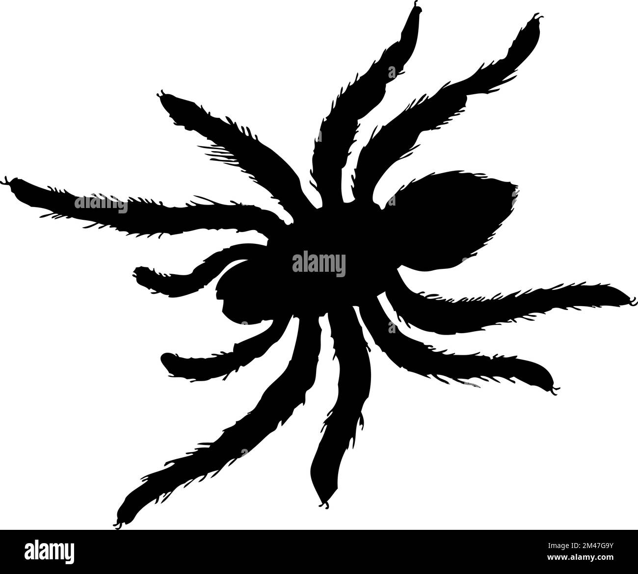 Silhouette of spider. Spider close-up detailed. Vector spider icon on ...