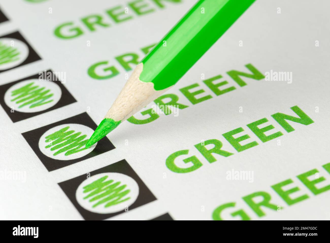 Conceptual photo of a green wooden pencil with a voting form with green ...