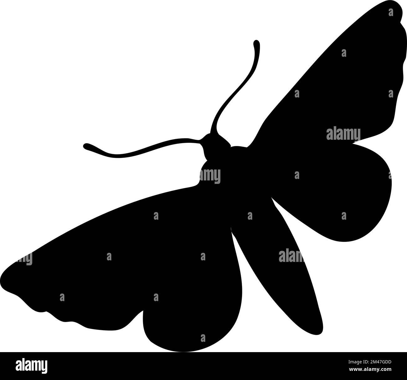 Silhouette of moth. Moth close-up detailed. Vector moth icon on white ...