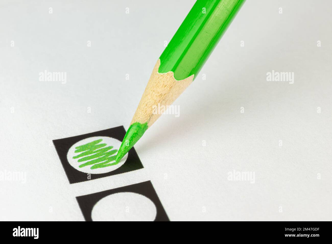 Conceptual photo of a green wooden pencil with a voting form with green ...