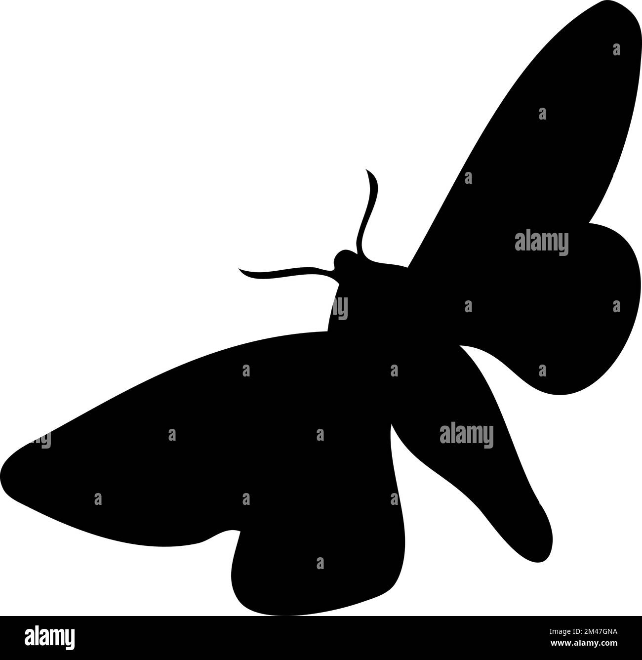 Silhouette of moth. Moth close-up detailed. Vector moth icon on white ...