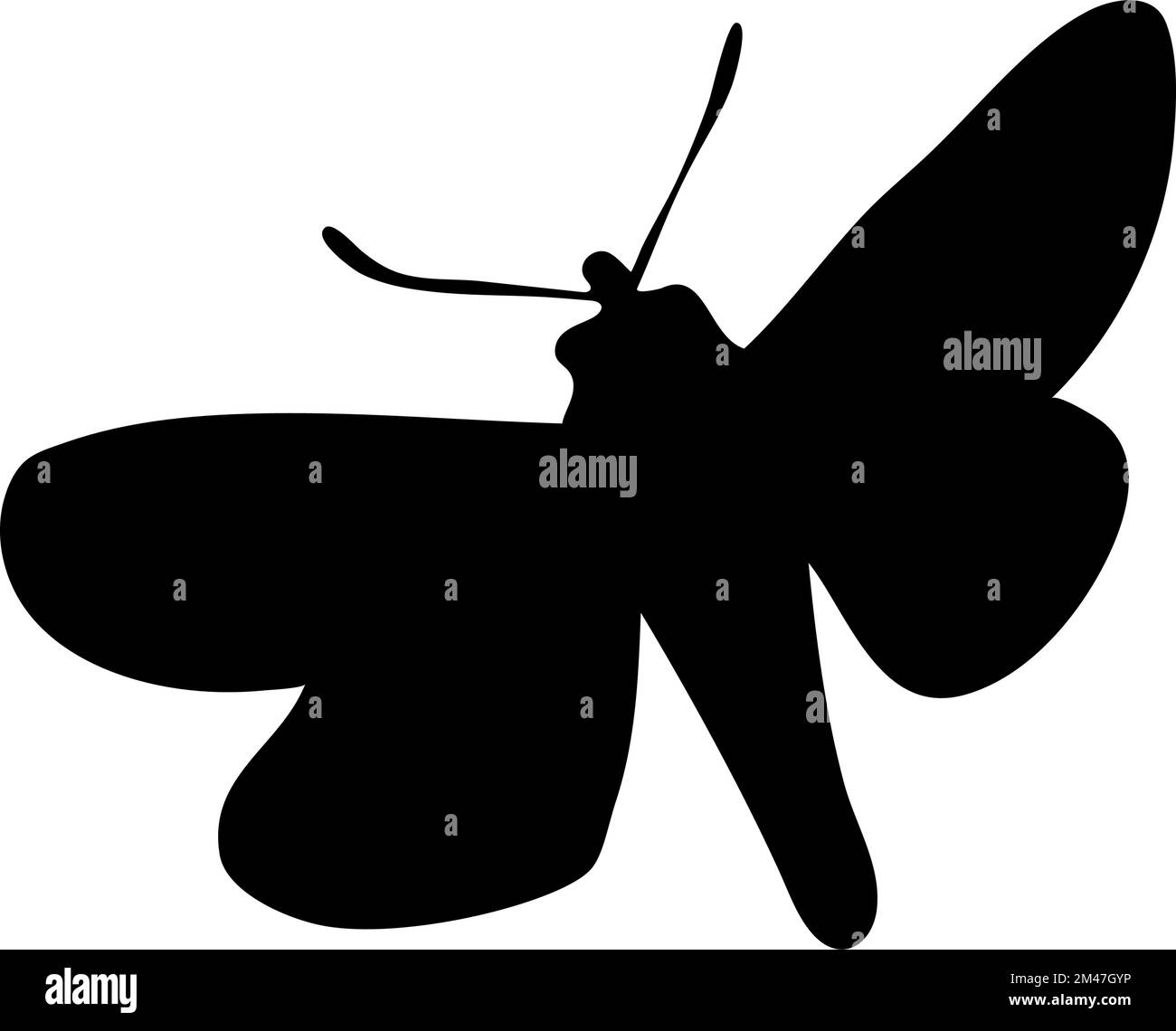 Silhouette of moth. Moth close-up detailed. Vector moth icon on white ...