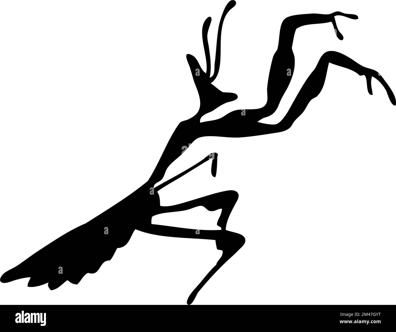 Silhouette Of Mantis Mantis Close Up Detailed Vector Mantis Icon On White Background Stock