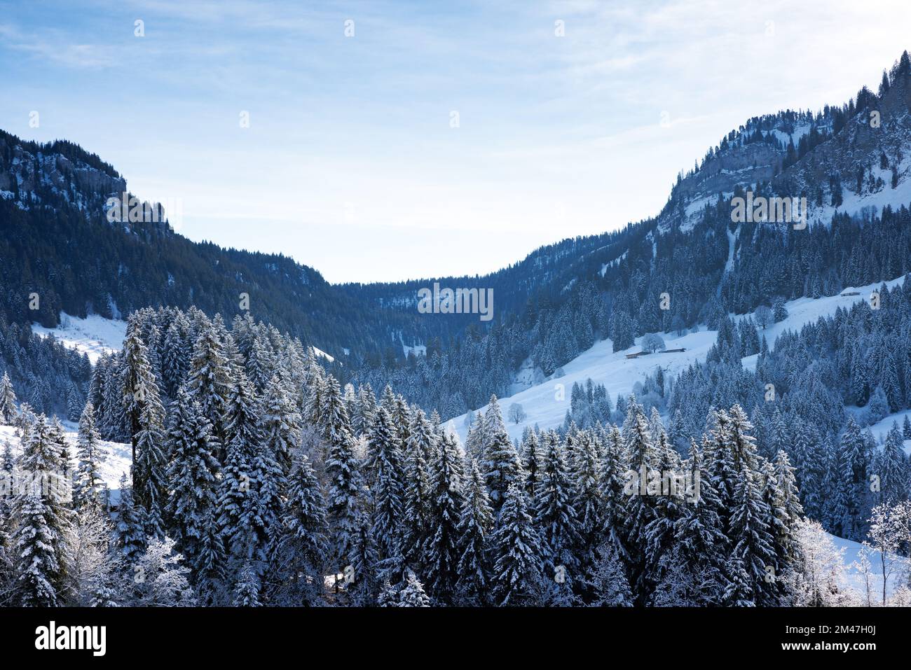 Eriz hi-res stock photography and images - Alamy