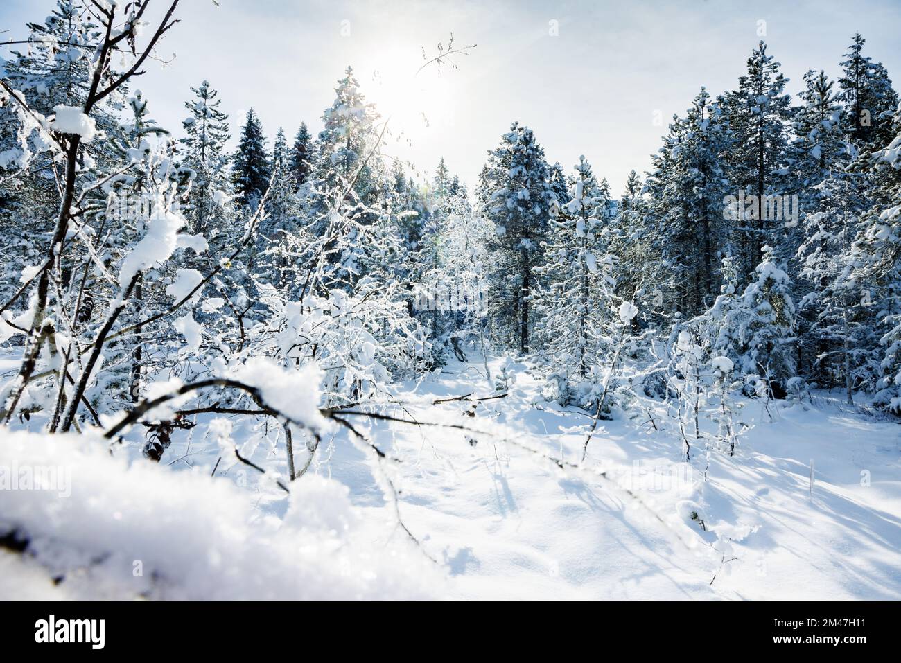 frozen winter landscape in Eriz Stock Photo - Alamy