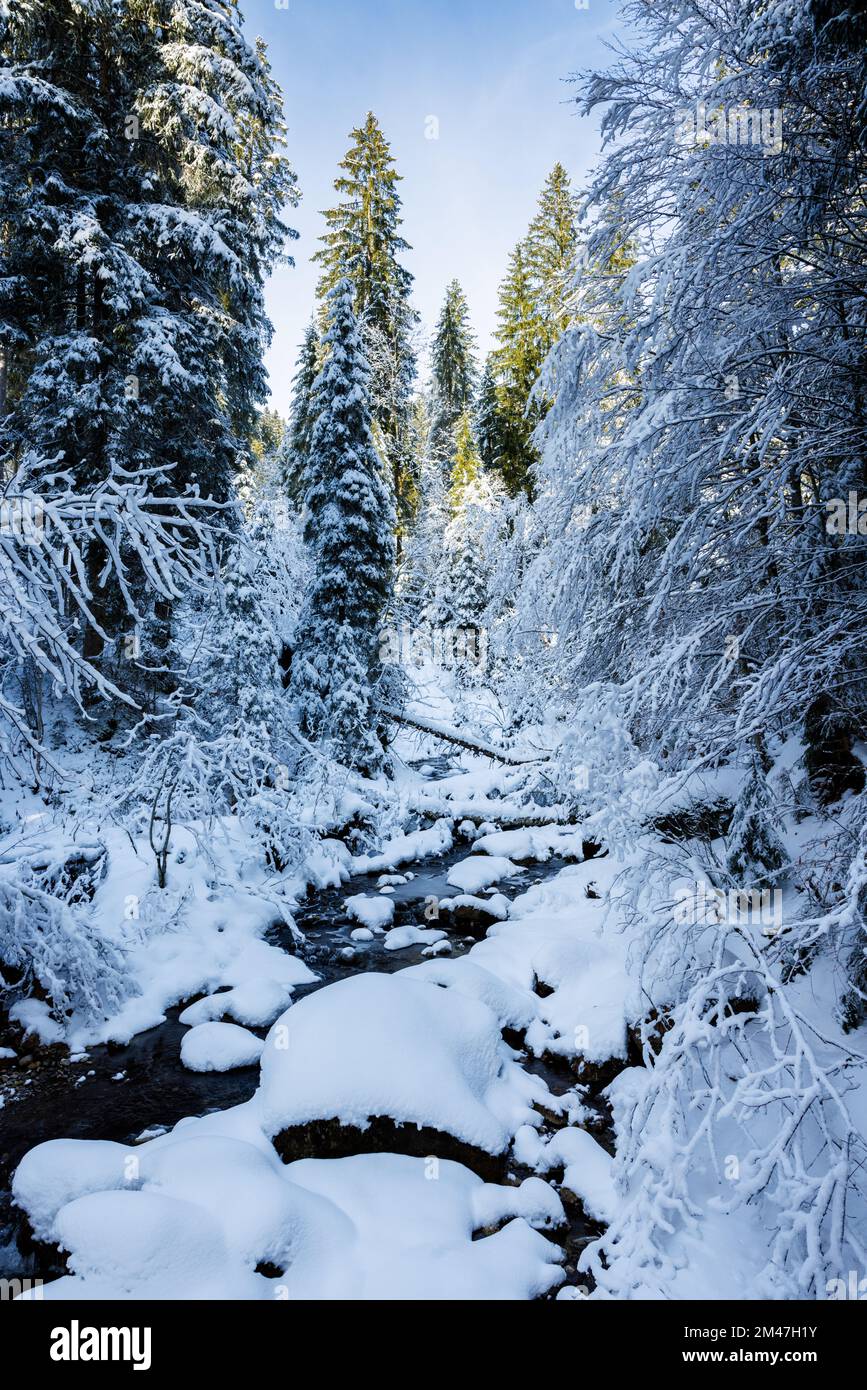 frozen winter landscape in Eriz Stock Photo - Alamy