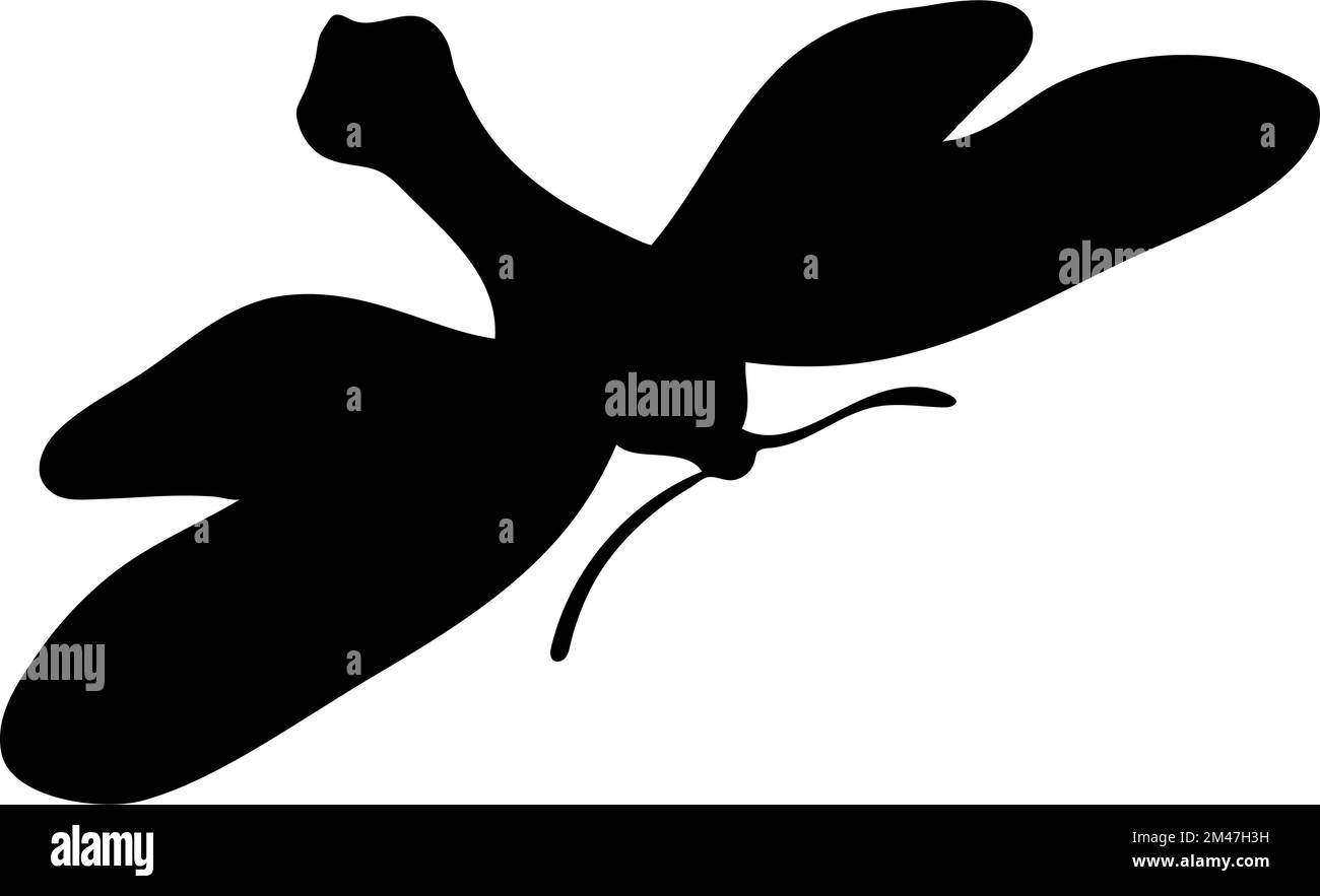 Silhouette of moth. Moth close-up detailed. Vector moth icon on white ...