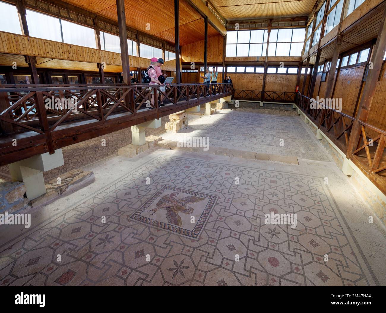 PAPHOS, CYPRUS - NOVEMBER 22: Visitors admire the Mosaics of the House ...