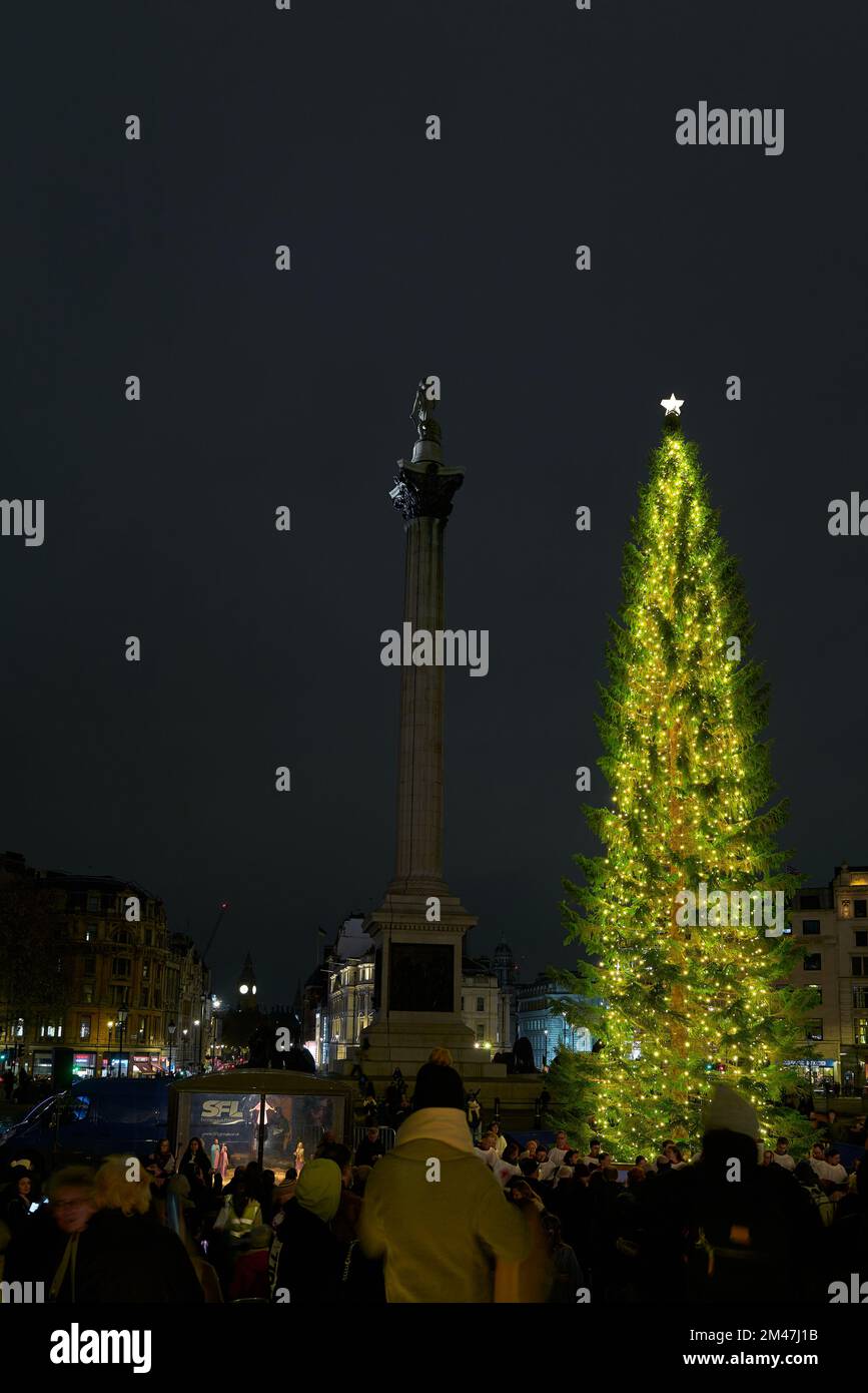 Crowd of people celebrate Christmas beside a tall christmas tree from ...