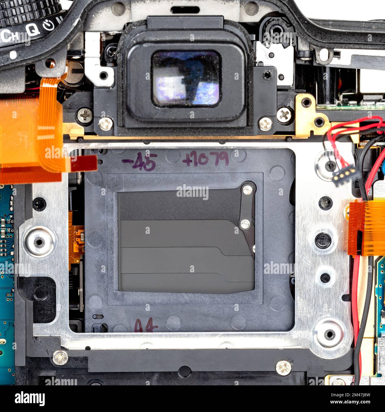 Back body parts hi-res stock photography and images - Alamy