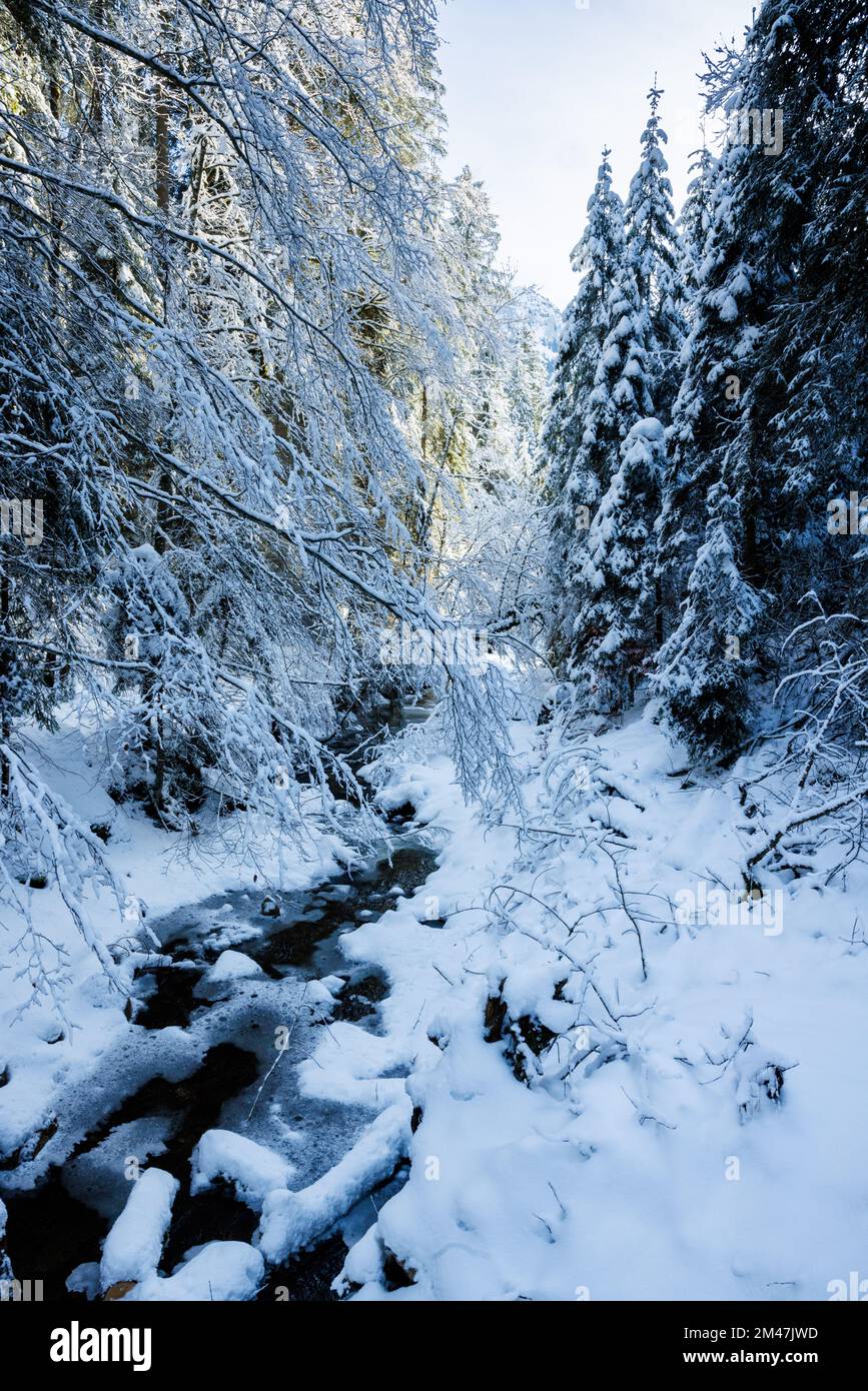 winter creek in Eriz, Switzerland Stock Photo - Alamy