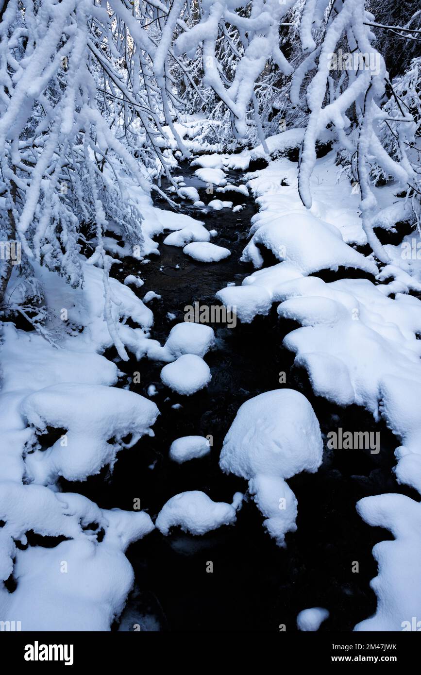 winter creek in Eriz, Switzerland Stock Photo - Alamy