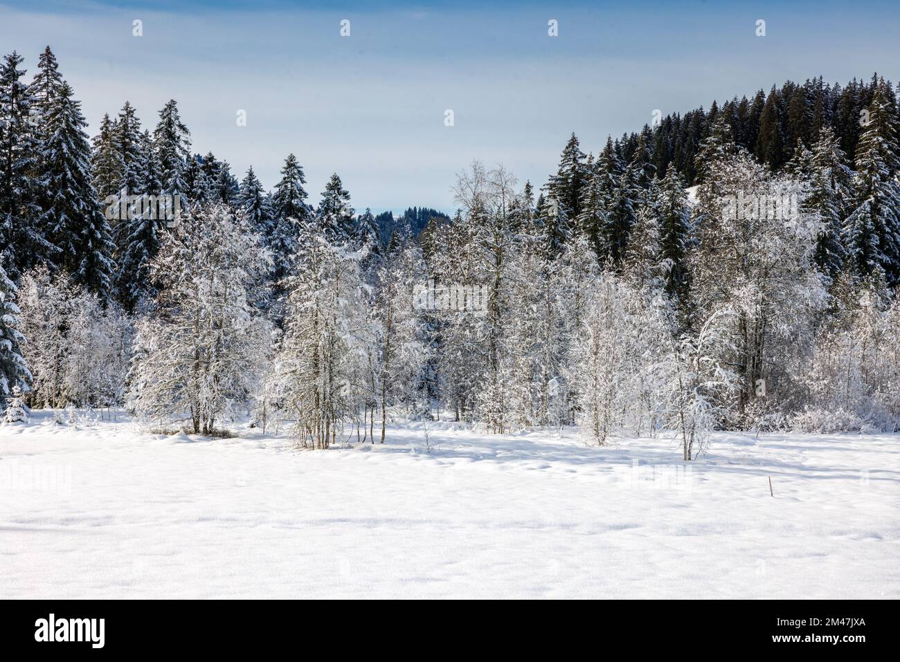 Eriz hi-res stock photography and images - Alamy