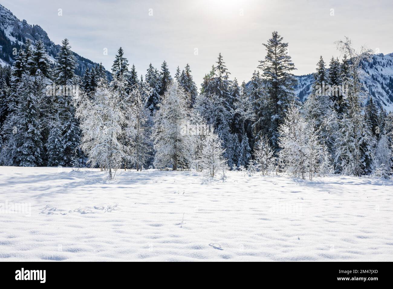 frozen winter landscape in Eriz Stock Photo - Alamy