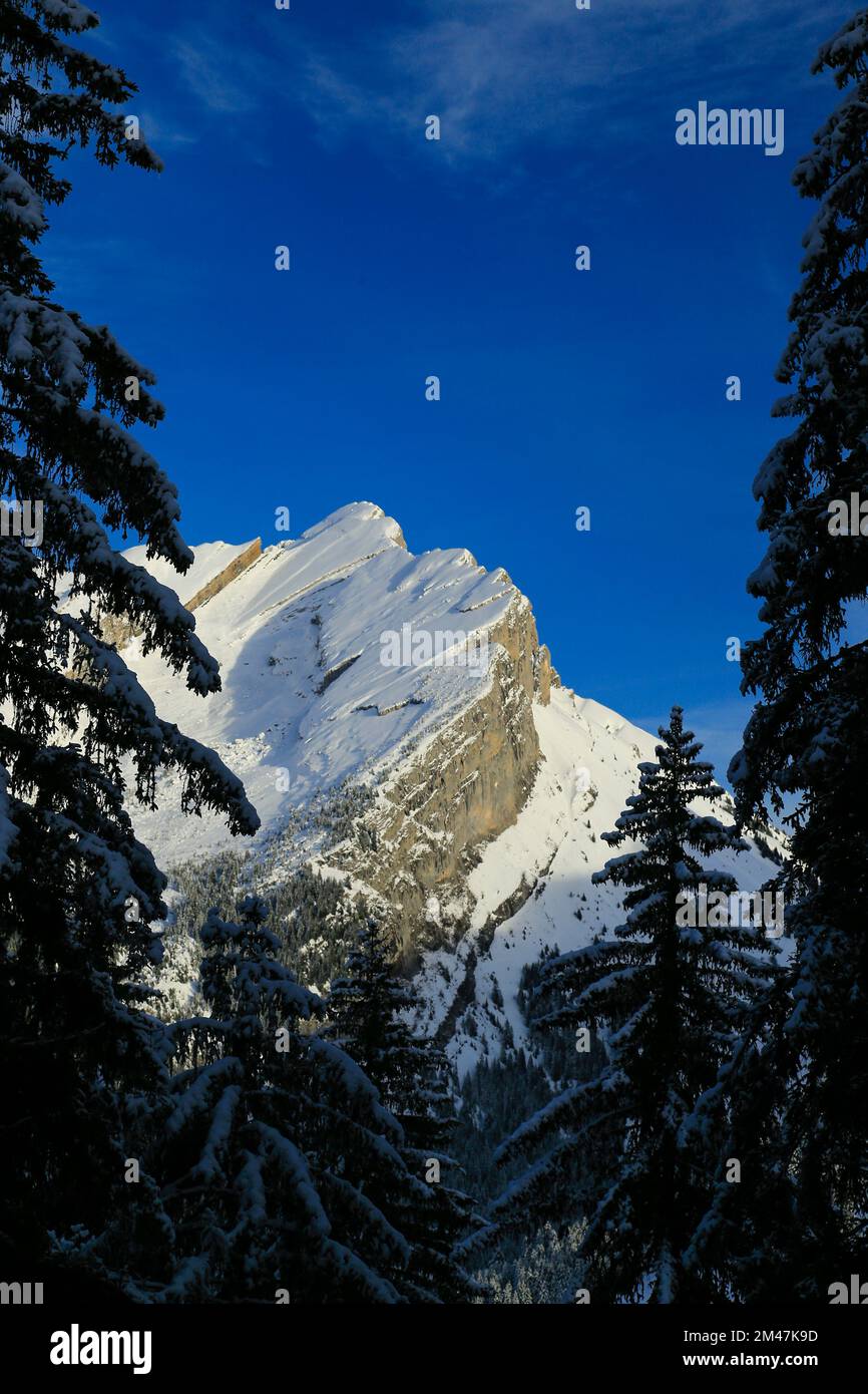 Massif Etale, La Clusaz, France Stock Photo - Alamy