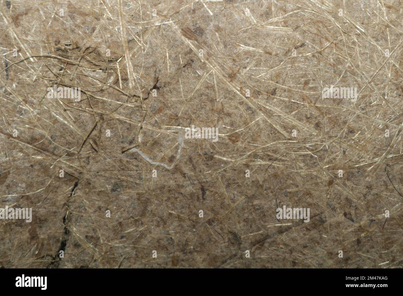 Banana fiber paper hi-res stock photography and images - Alamy