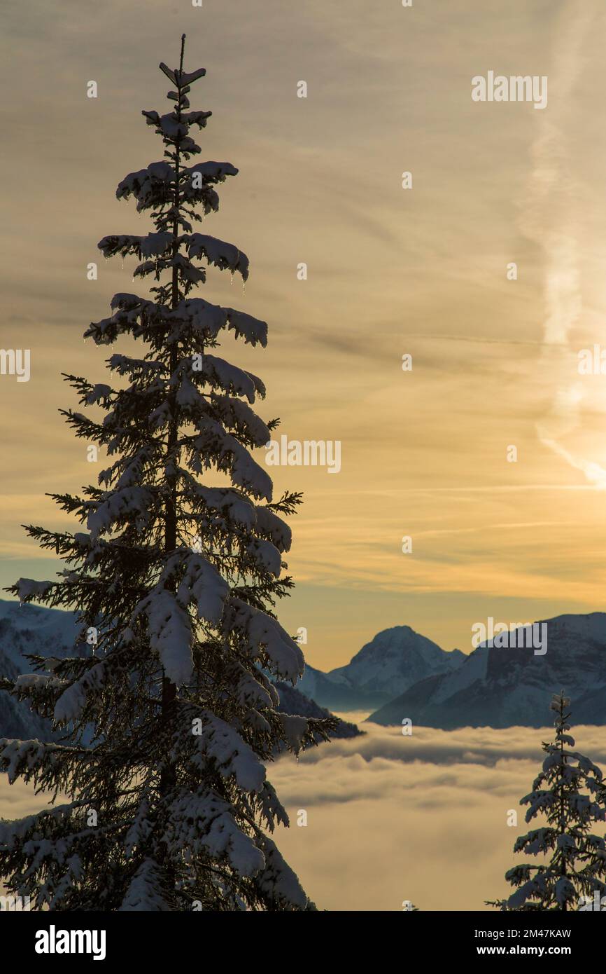 Sunset in the Alps, mountain peaks with cloud in the valley Stock Photo ...