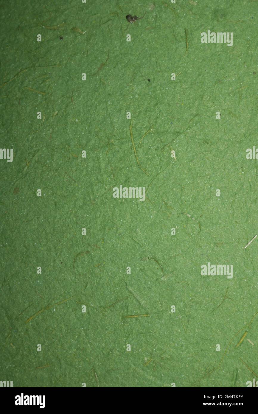 green color hand made paper background Stock Photo - Alamy