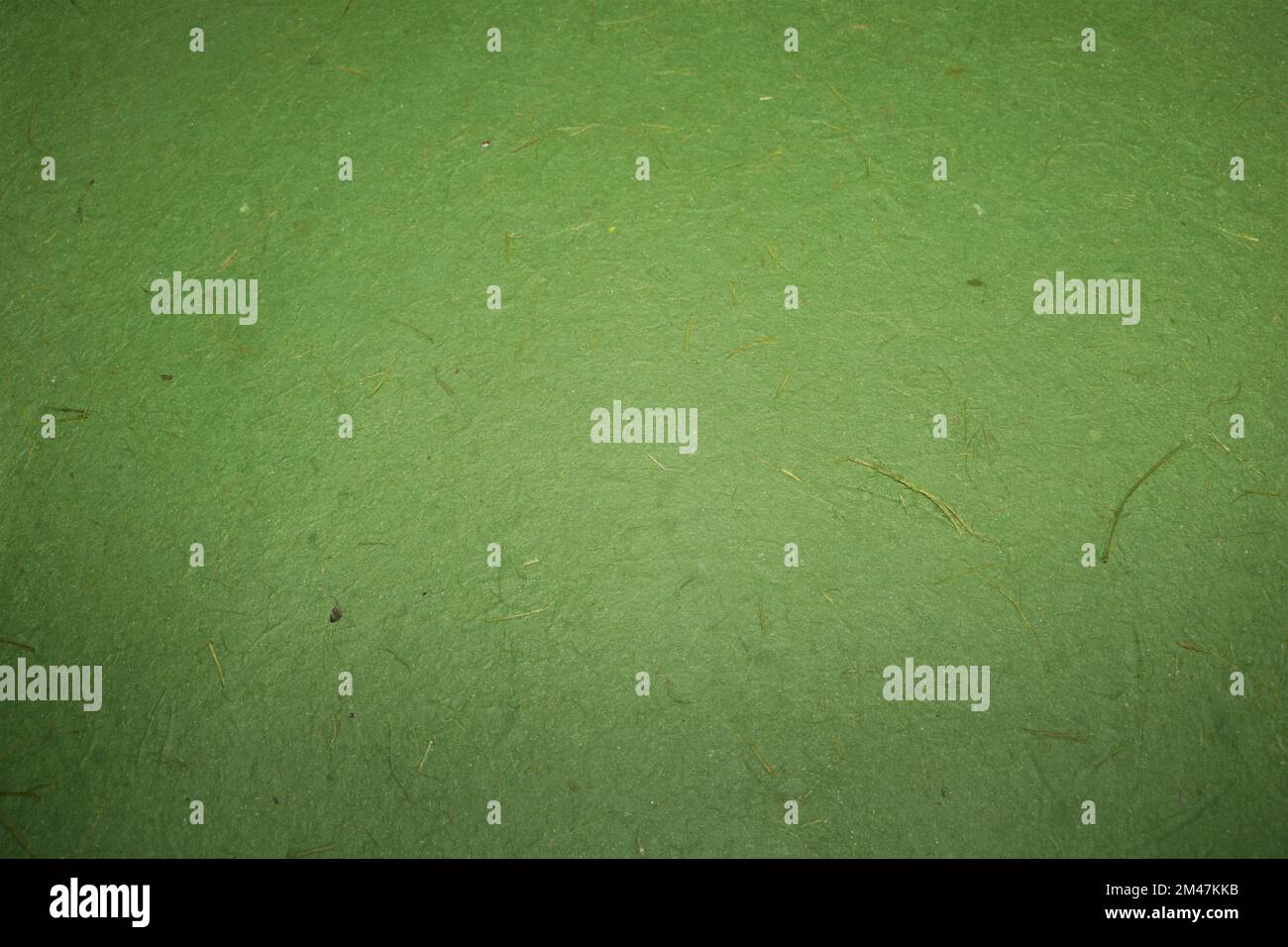 green color hand made paper background Stock Photo - Alamy