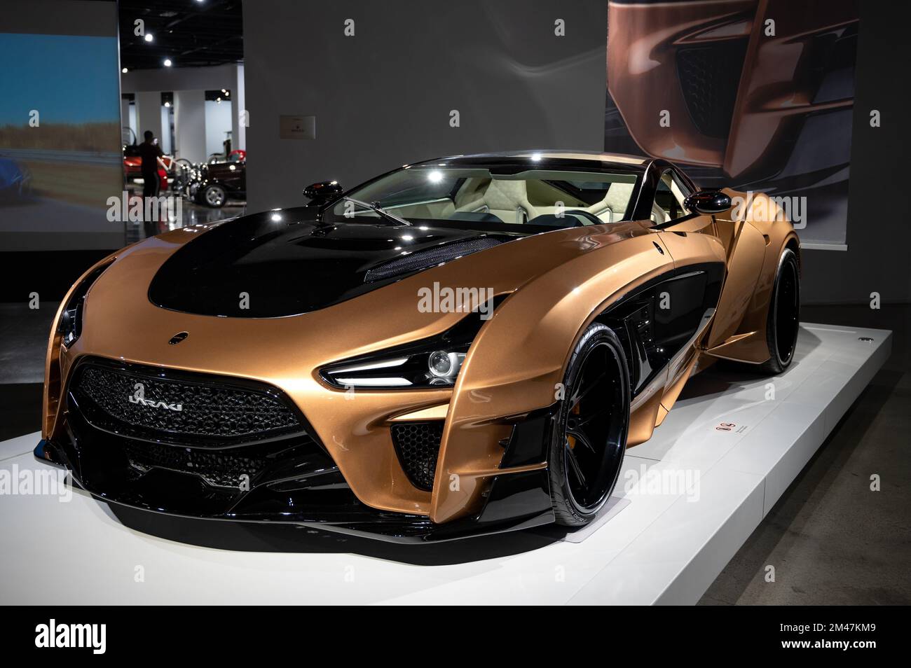 Detail of exclusive 2019 Laraki Sahara hypercar Stock Photo - Alamy