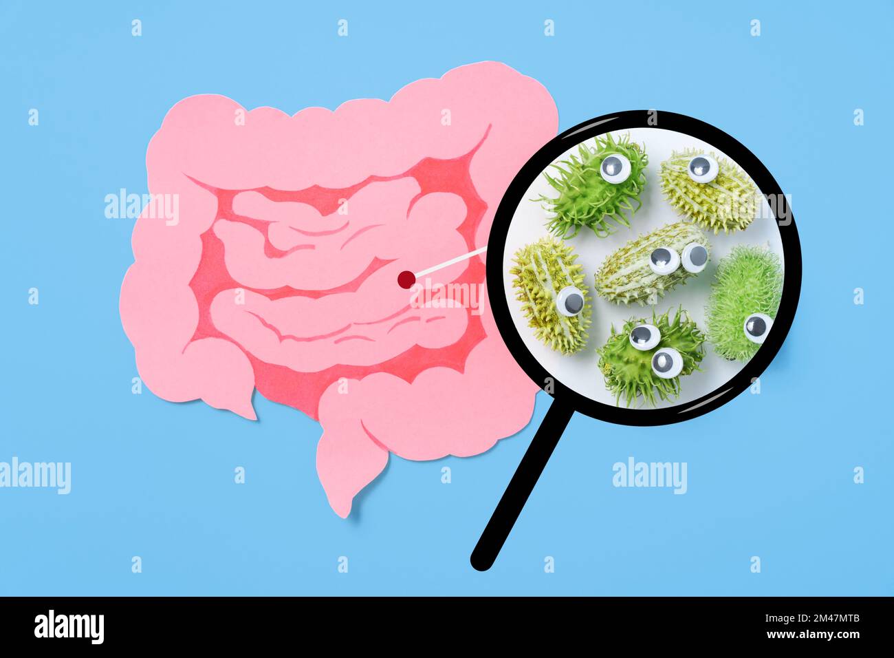 Decorative intestine and magnifying glass showing harmful bacteria ...
