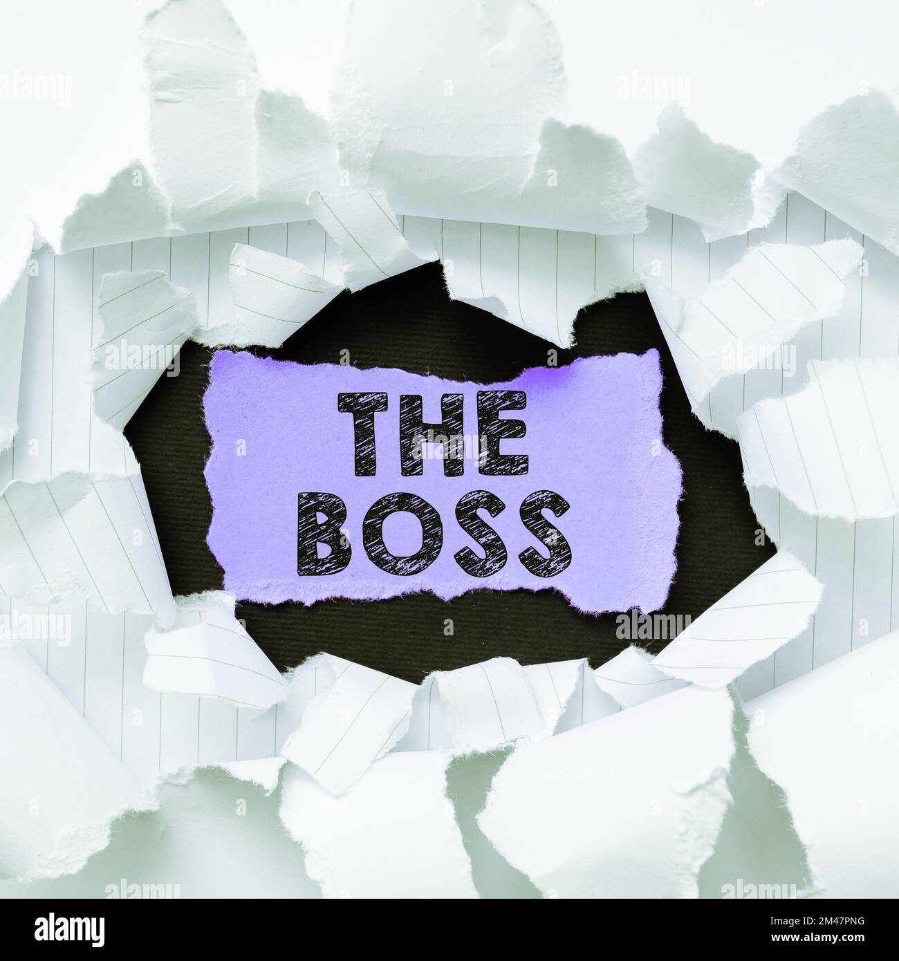 Writing displaying text The Boss. Business overview a person who ...