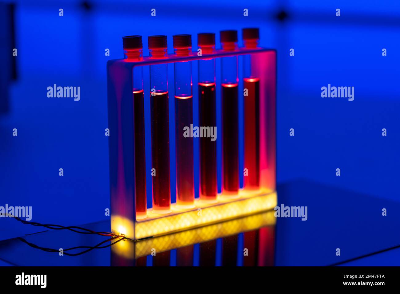 samples of radioactive liquid in test tubes in a nuclear physics ...