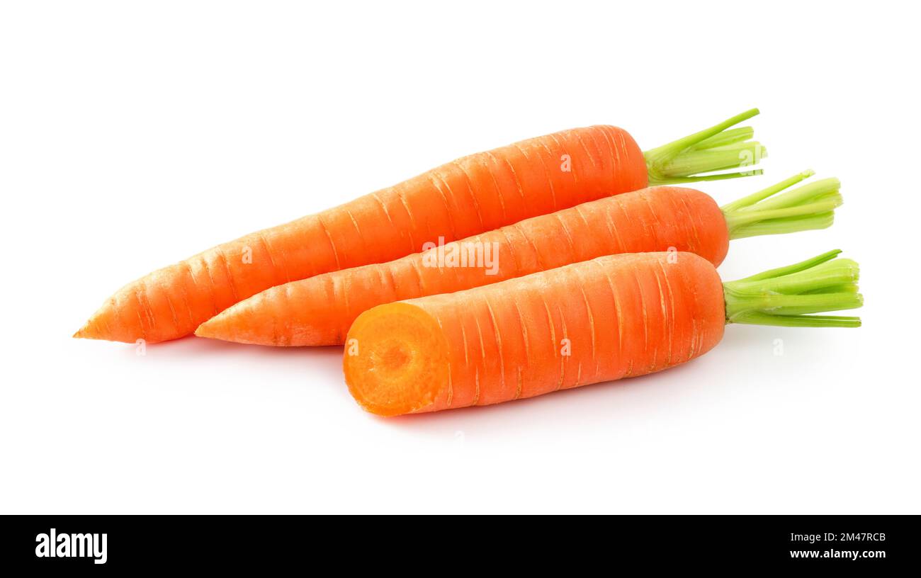 Fresh carrot isolated. Two whole carrots and half of carrot on white ...