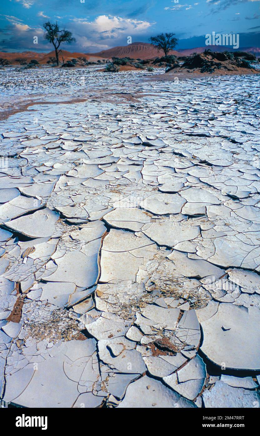 Dried Lake Area in Sossusvlei in the Namib Desert, Namibia Stock Photo ...
