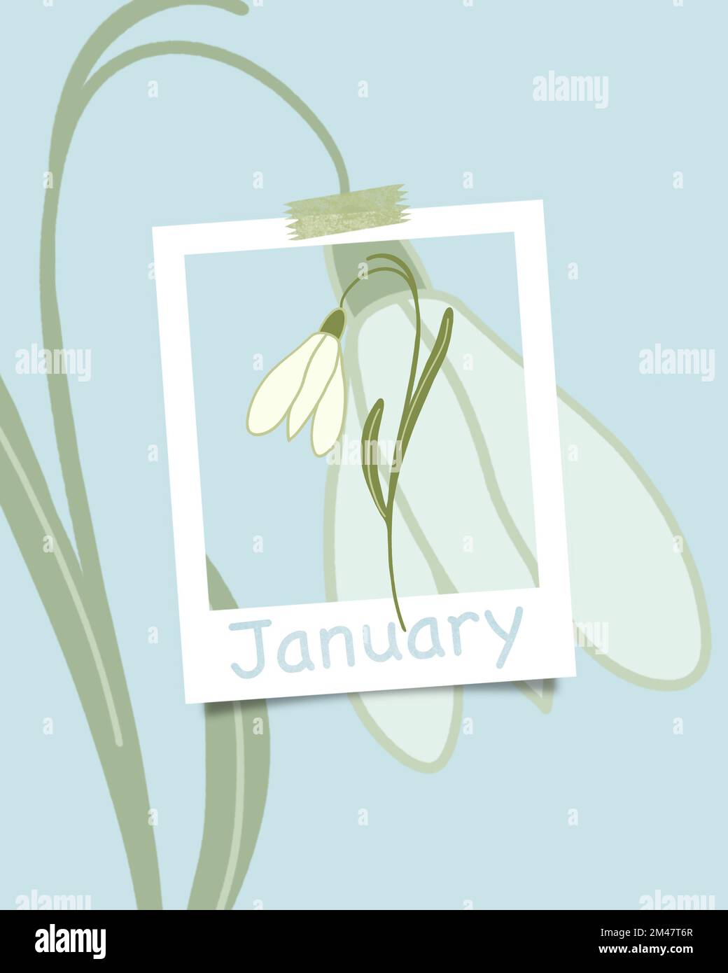 Minimalist flat floral illustration of snowdrop flower, Galanthus ...