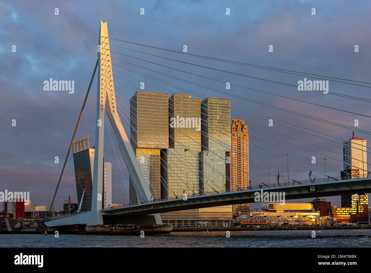 Moody skyline of Rotterdam with part of the famous Erasmus bridge ...