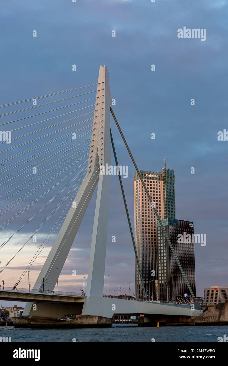 Erasmus bridge infrastructure in Dutch port city Rotterdam with its ...