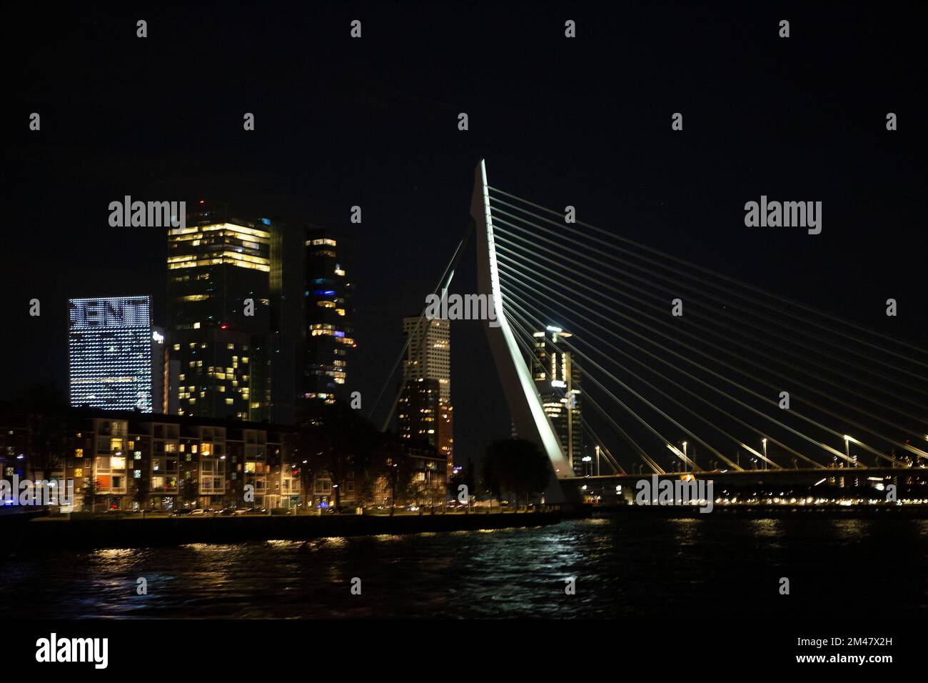 Glowing nighttime architectural detail lit up of Erasmus bridge ...