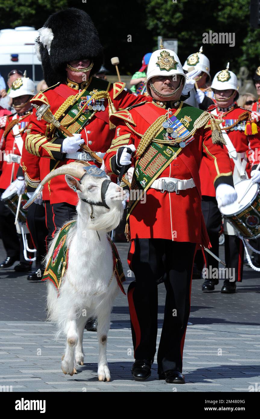 Duke street cardiff hi-res stock photography and images - Alamy
