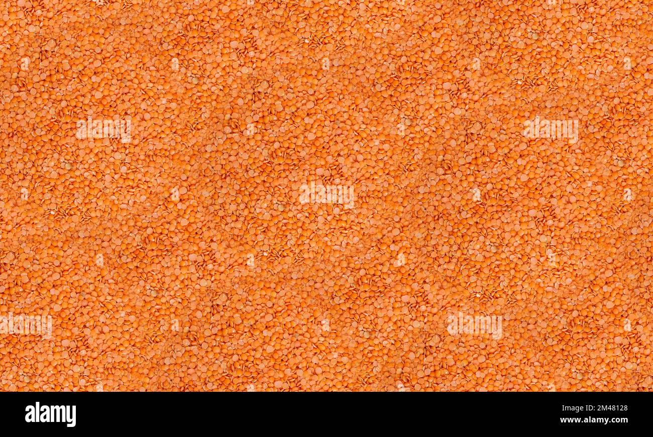 raw, natural, fresh lentils, isolated Stock Photo - Alamy