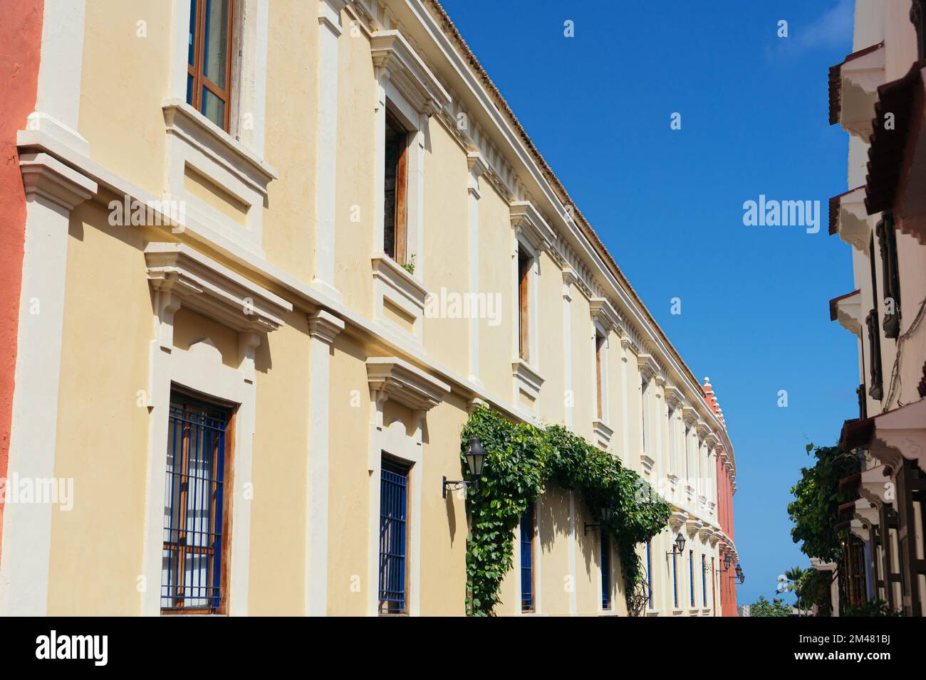 Traditional windows and green plant in Cartagena. Architectural and ...