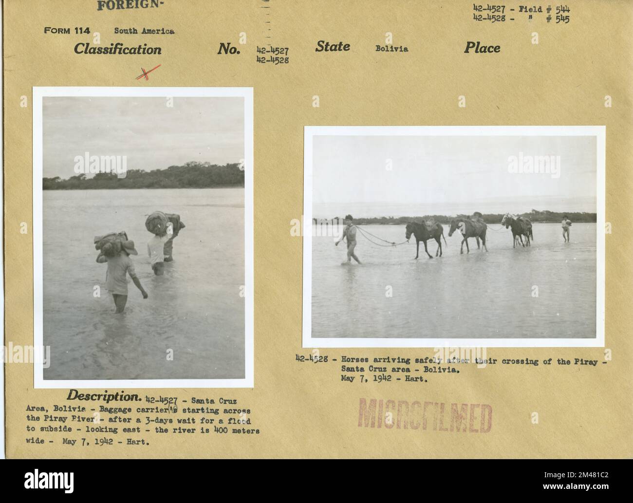 Baggage carrier's starting across the Pirary River; Horses Arriving ...