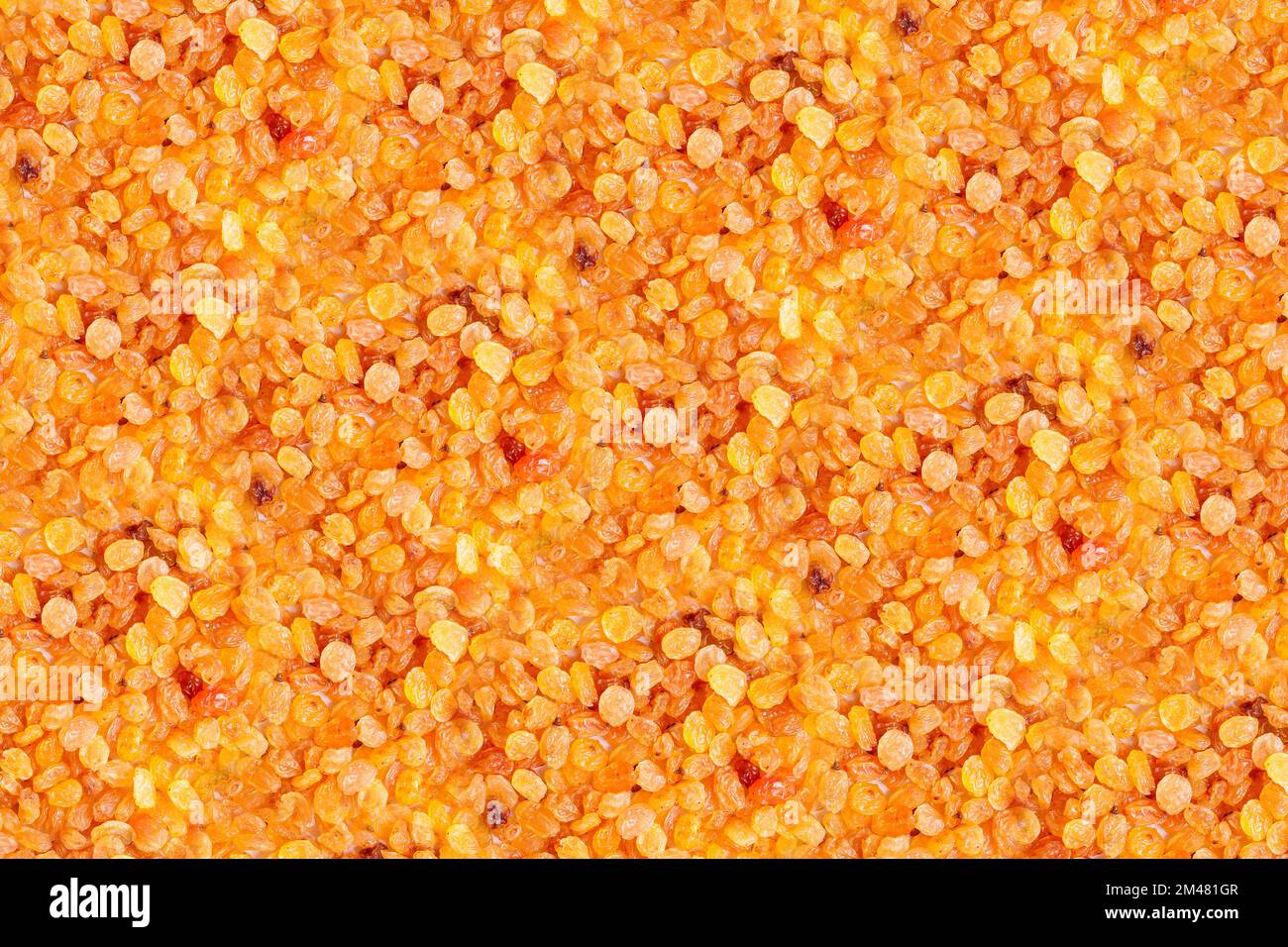texture of natural fresh yellow raisins Stock Photo - Alamy