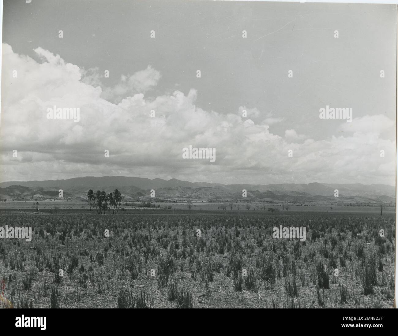Landscape in Dry Area. Original caption: Landscape in the very dry area ...