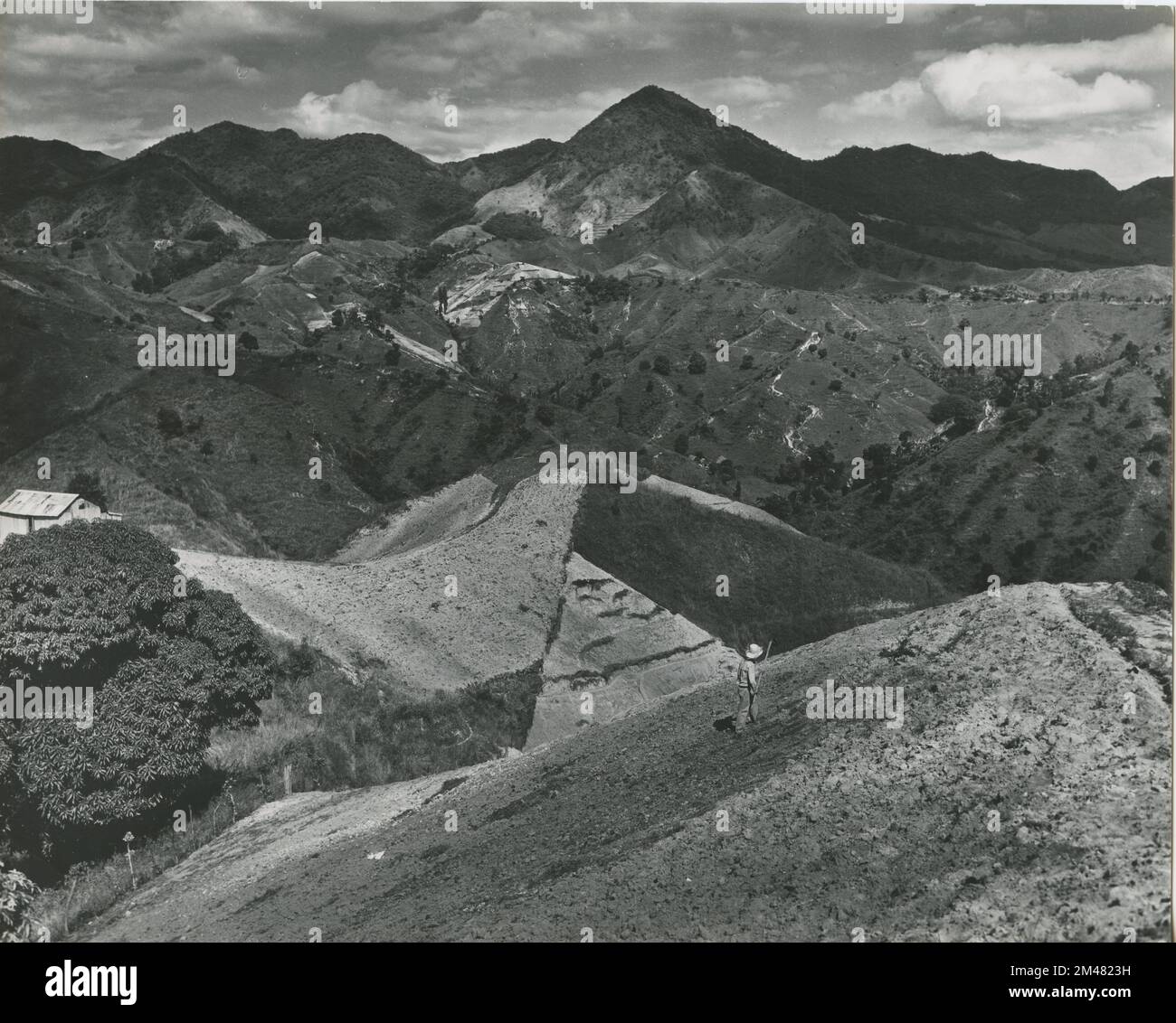 Farmer Cultivating a Small Farm on a Steep Hillside. Original caption ...