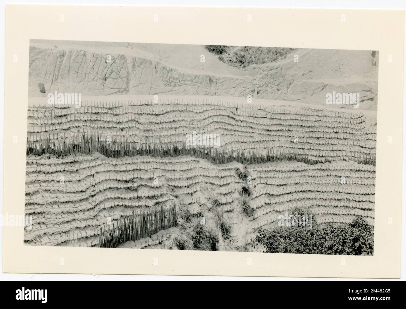 Puerto Rico FAP 4-B -- Utuado-Jayuya. Original caption: Puerto Rico FAP ...